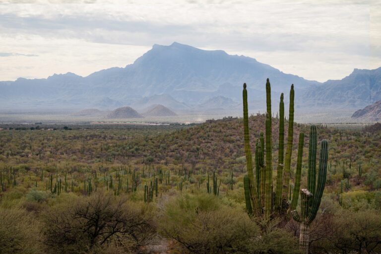 10 Epic Desert Adventures Across The World's Sands
